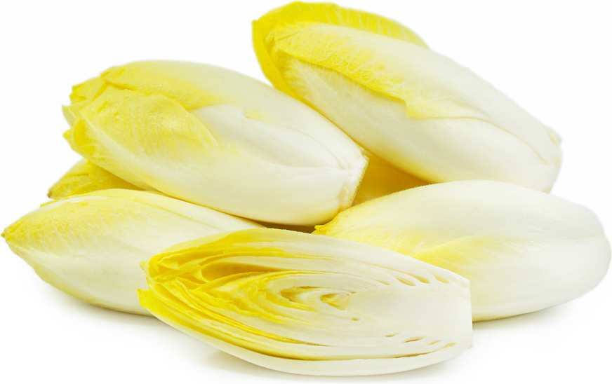Belgian Endive Information, Recipes and Facts Belgian Endive Information, Recipes and Facts